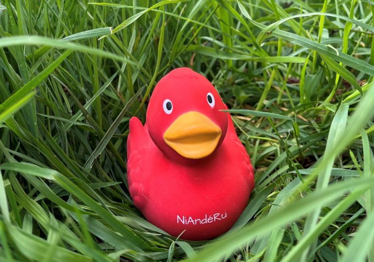 Rode bad eend | Met mijn coaching sta ik voor inclusie | Nicole